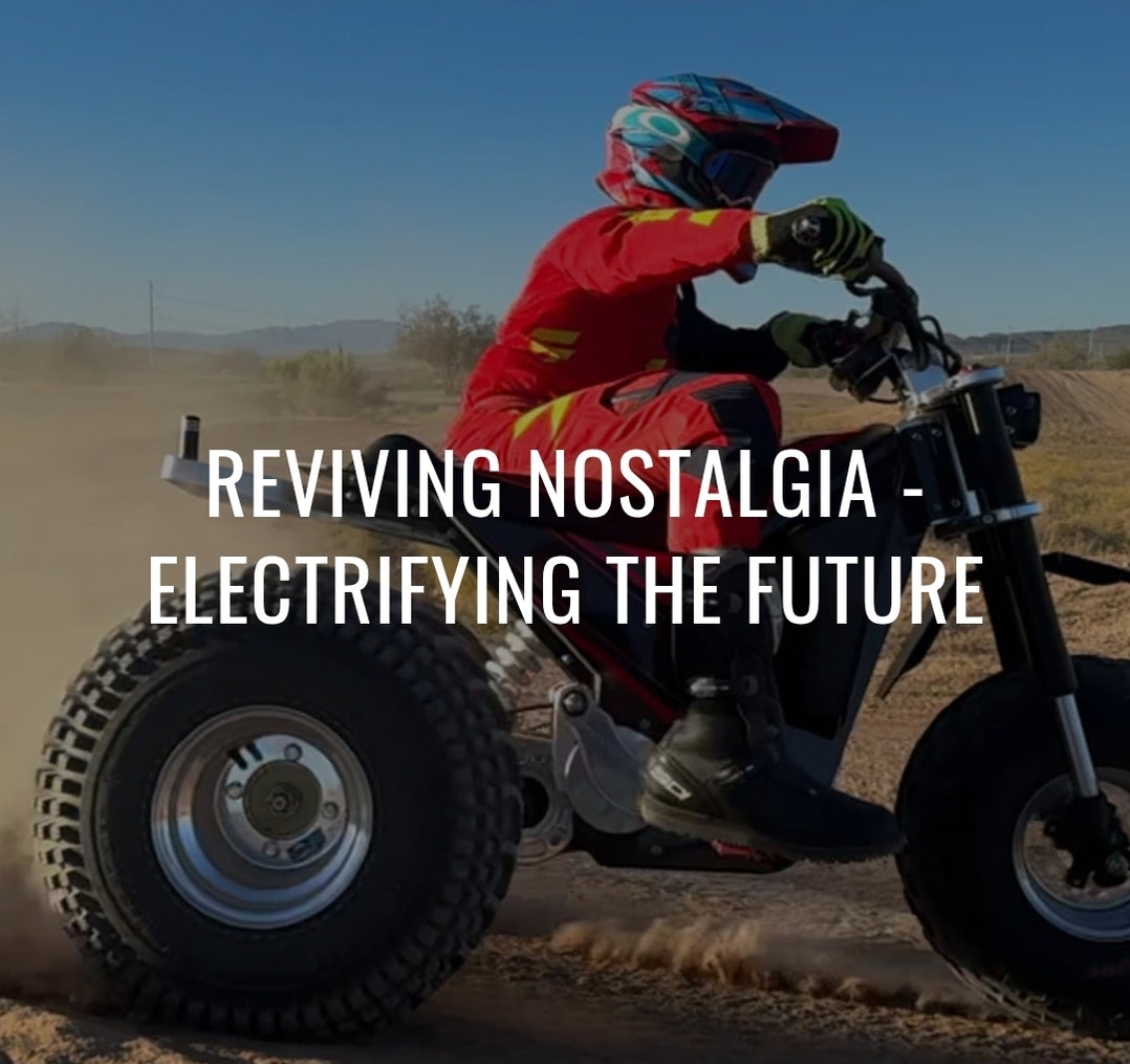 Mini RCR T3 Electric 3-Wheeler — Pandemyk Performance